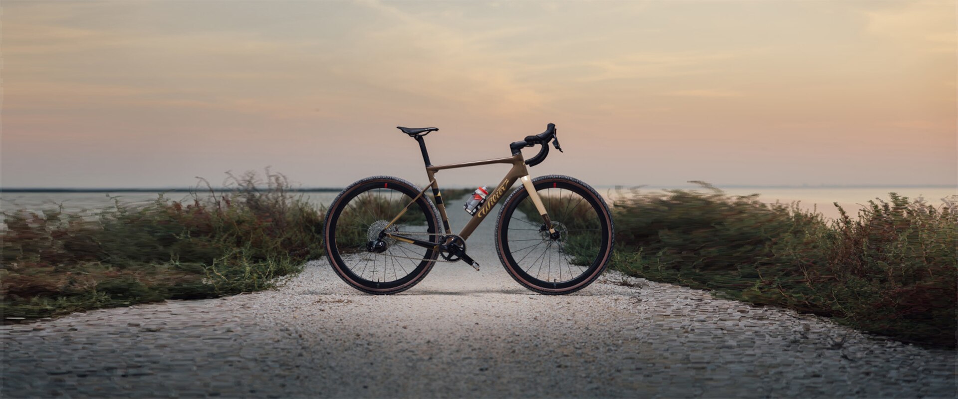 Welcome to the store