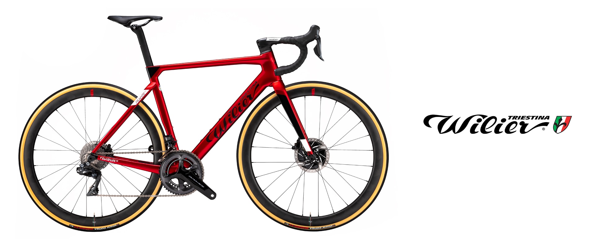 Welcome to the store